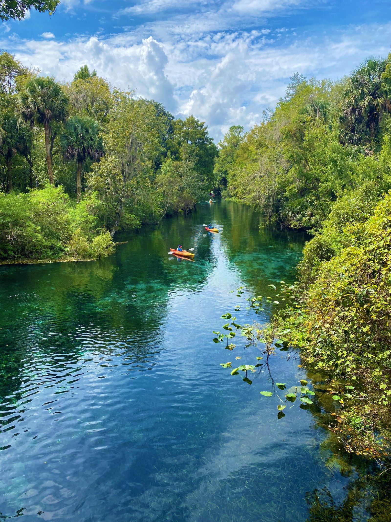 How to Spend One Day at Silver Springs - TRAVEL WITH MIKE & DEE